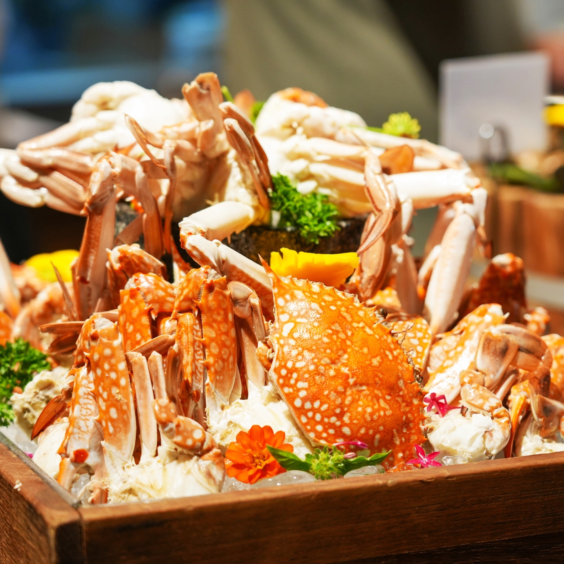 SEAFOOD BUFFET - MESTYLE Museum Hotel